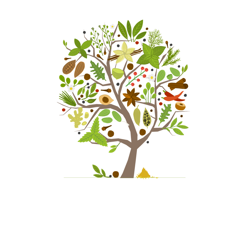 Viji Foods – Viji