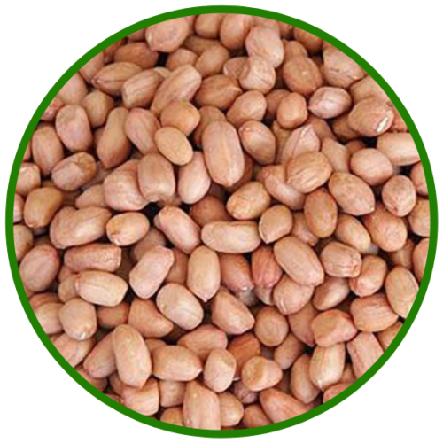 Peanuts Groundnut – Viji Foods