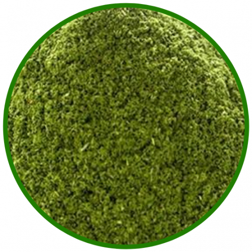 Dehydrated Mint Powder – Viji Foods